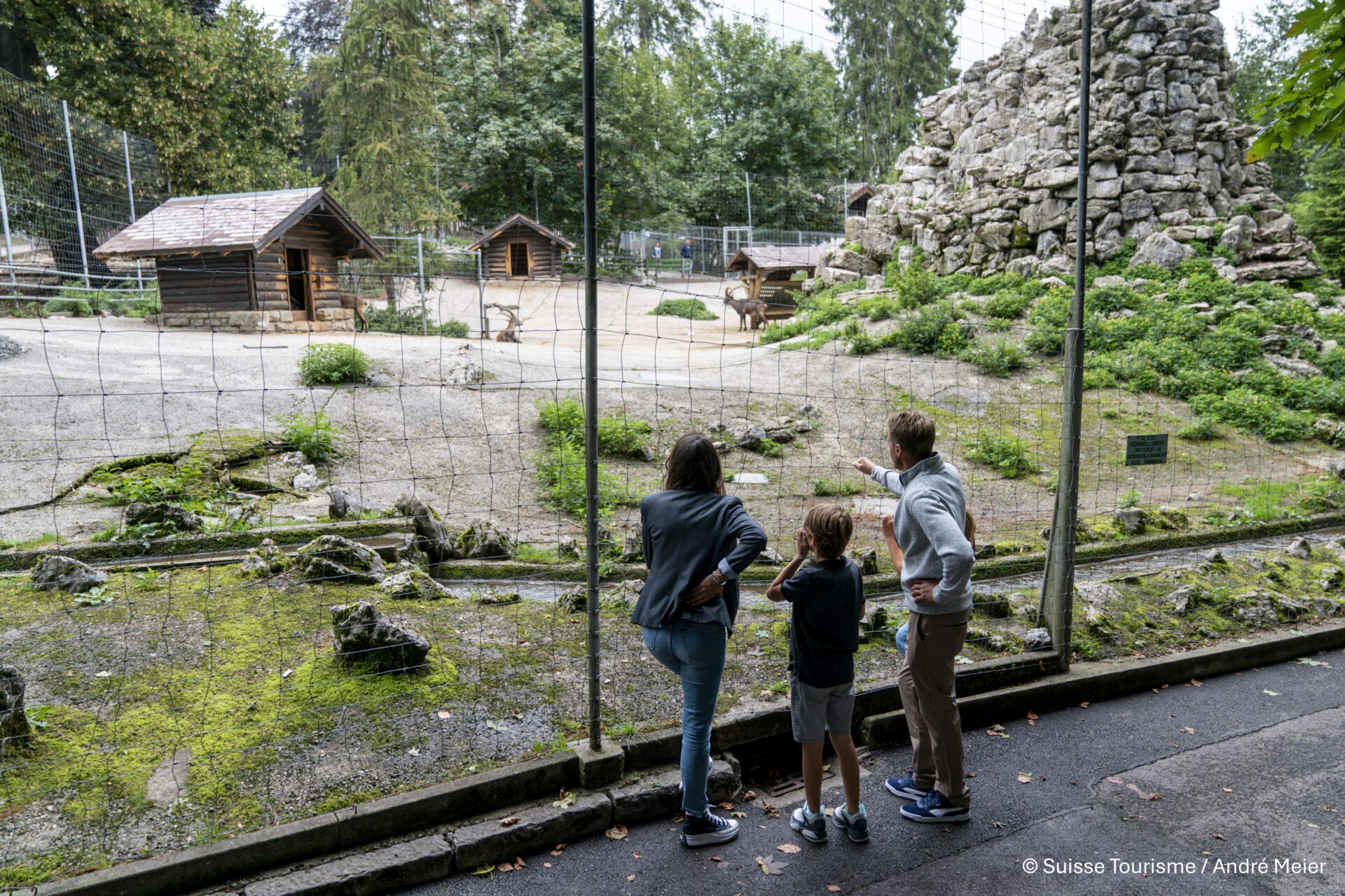 Eintrittspreise in Schweizer Zoos und Tierpärke jetzt als Vergleich auf ...